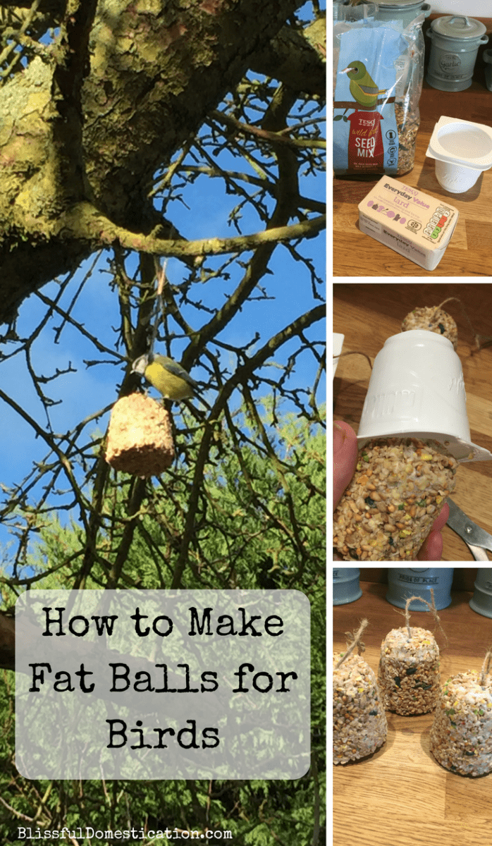 Home Made Fat Balls for Birds | Blissful Domestication